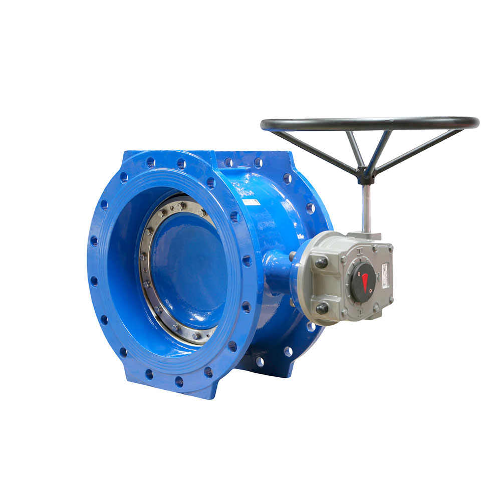 Leptirasti zasun prirubnički s ekcentrom 4493 – Hidrocom Pitomača